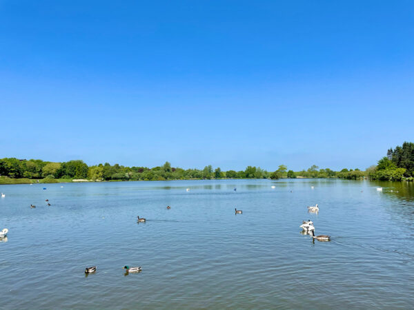 Walks | Yeadon Tarn | The White Swan